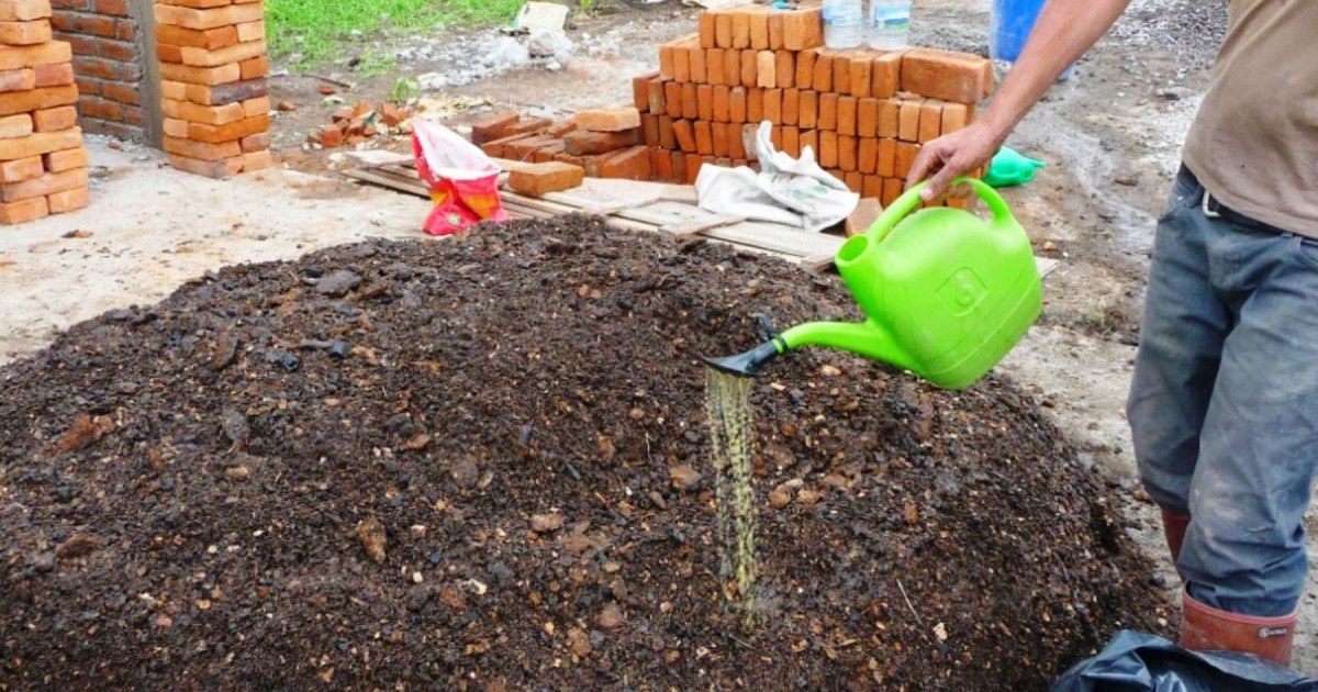 TDR Elaboración de productos radiales sobre bioles en la región andina ...