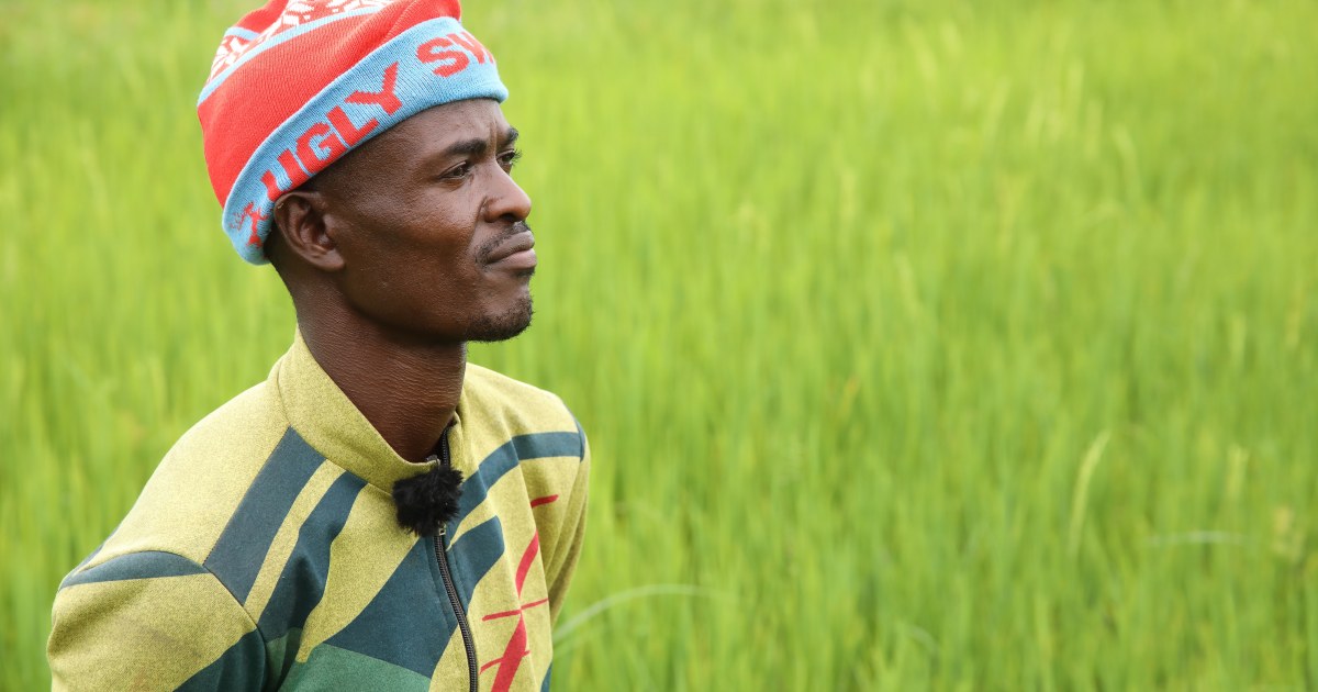 Drum roll... Our annual report 2019 is out! | Rikolto in West Africa