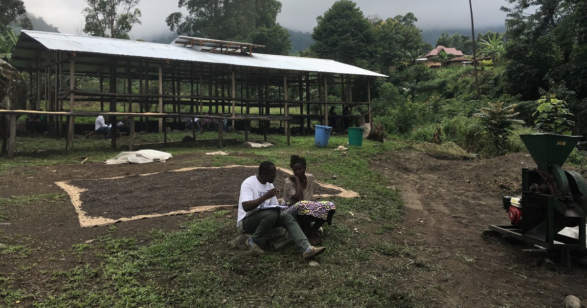 On implementing the Inclusive Business Scan in Eastern Congo | Rikolto ...