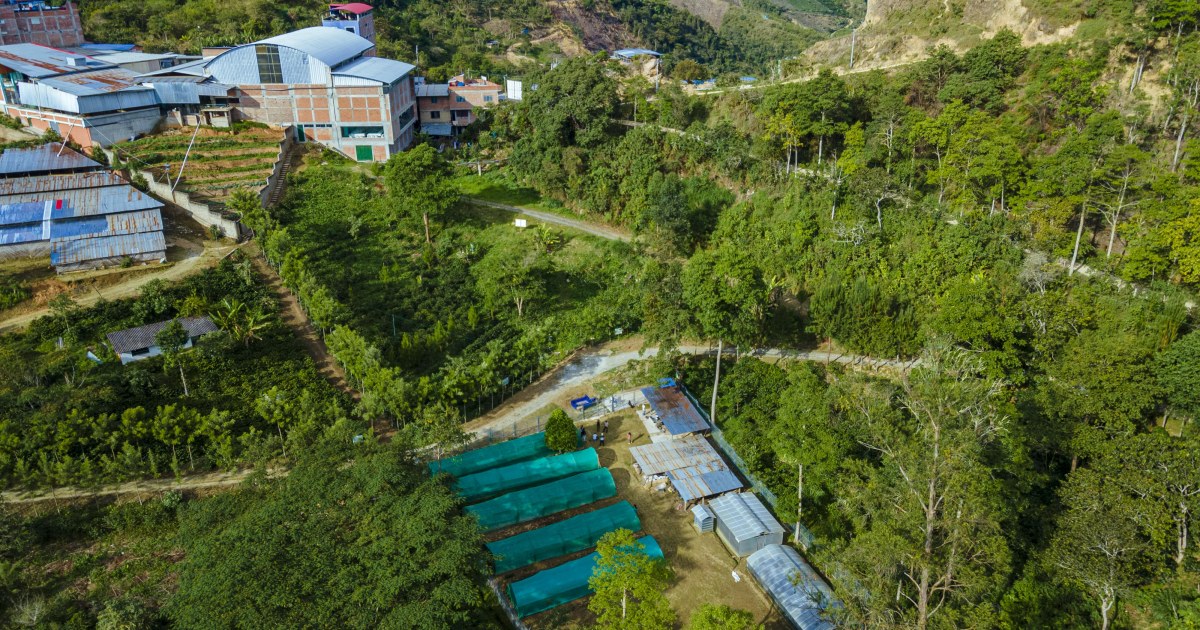 Interview with Stephanie Daniels on the potential of living income to ...